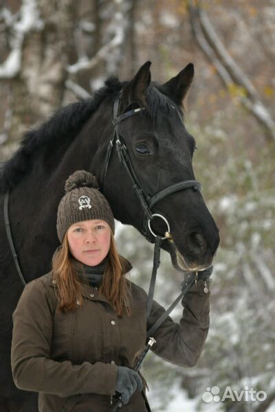 Вороная тракененская кобыла