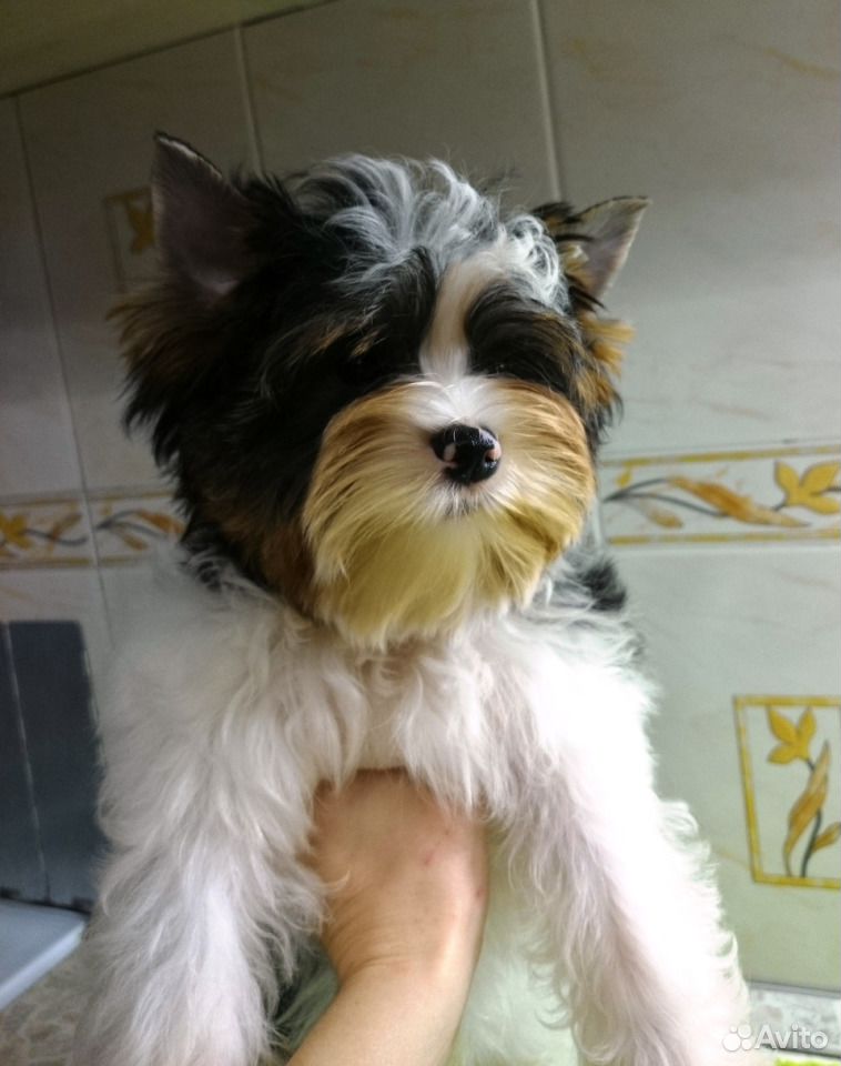 Перспективный мальчик