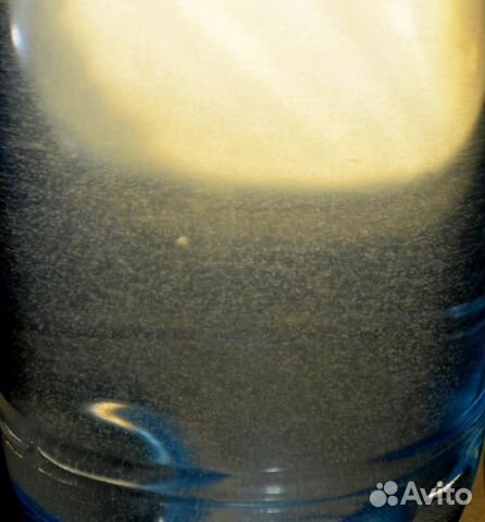 Живой корм для мальков. Инфузория, нематода