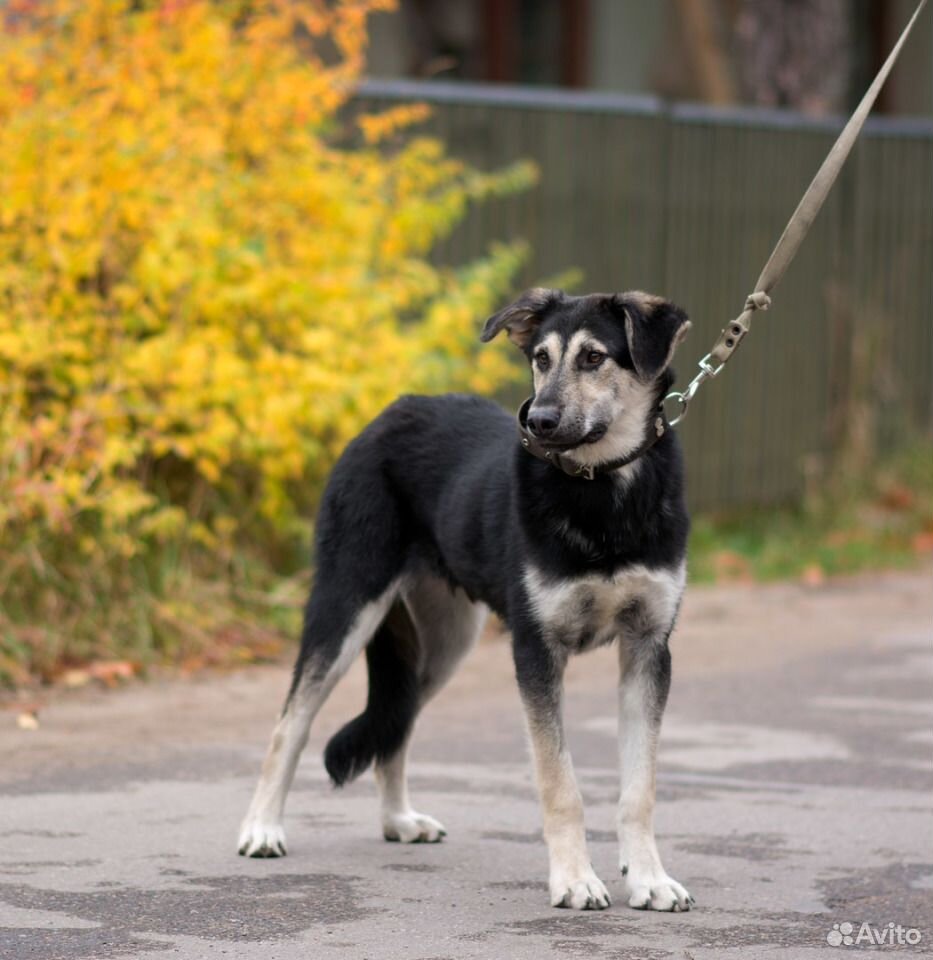 Милейшая Лола ждет семью