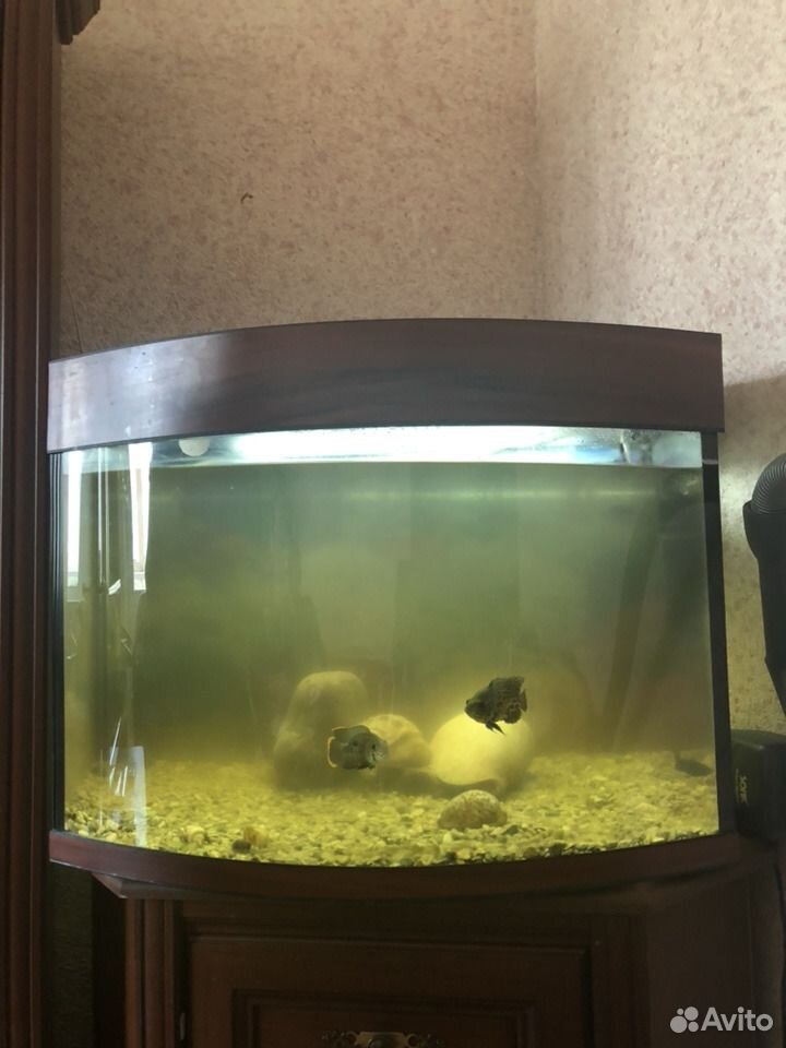 Аквариум