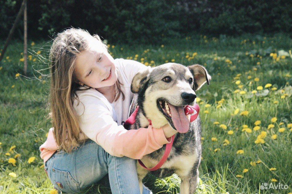 Тони- собака- целовака