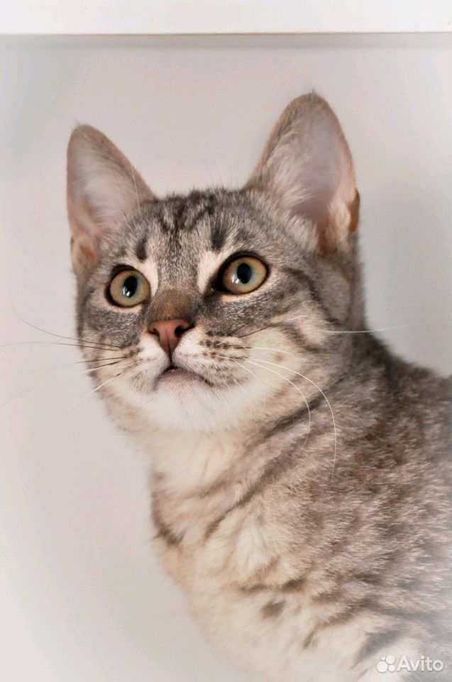 Рианна 1год