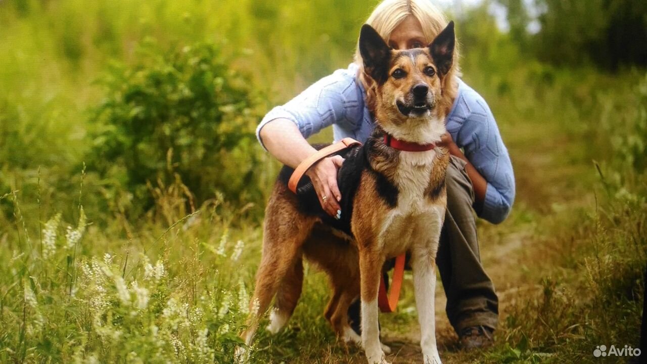 Дианочка-невероятно нежная, крвсивая, ласковая дев