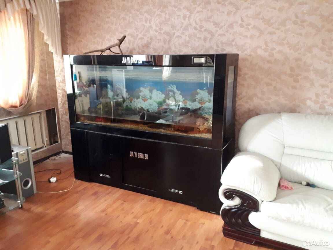 Аквариум для организаций