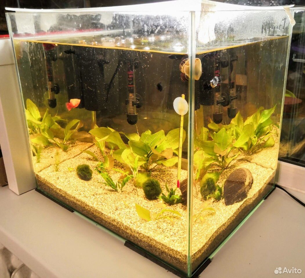 Аквариум 45х40х35см
