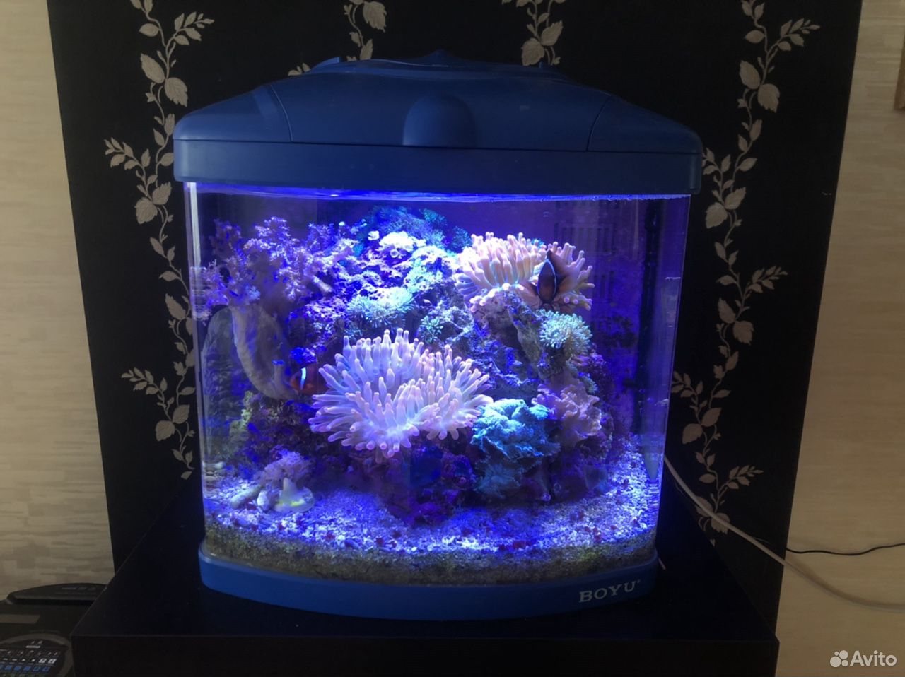 Аквариум морской