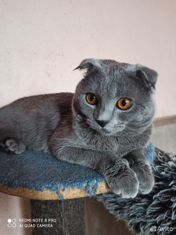 Вязка