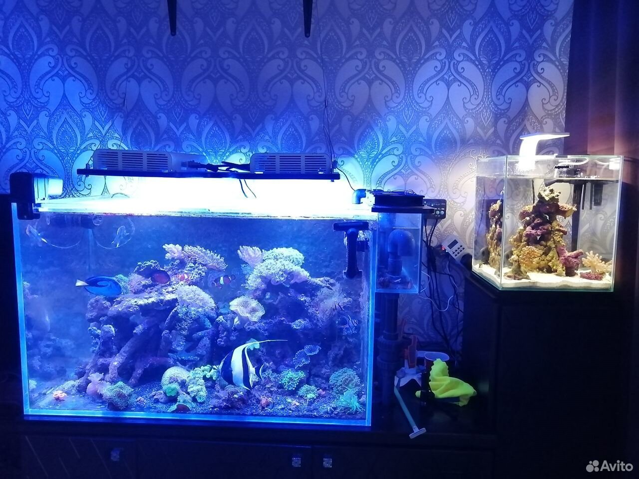 Морской аквариум 300л