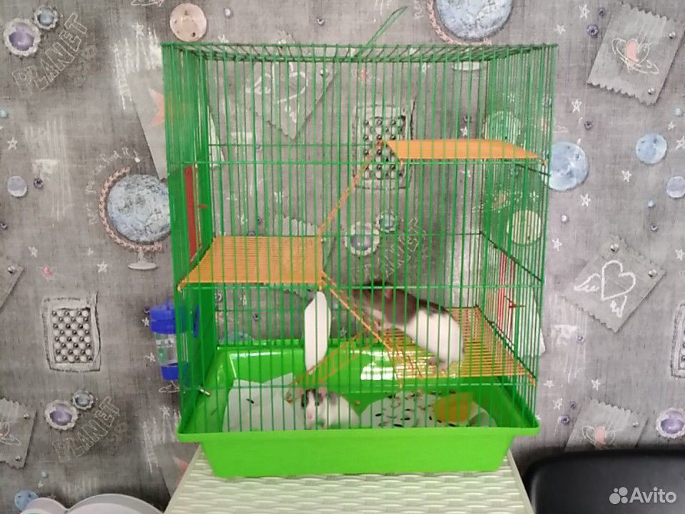 Дикоративные краски Дамбо