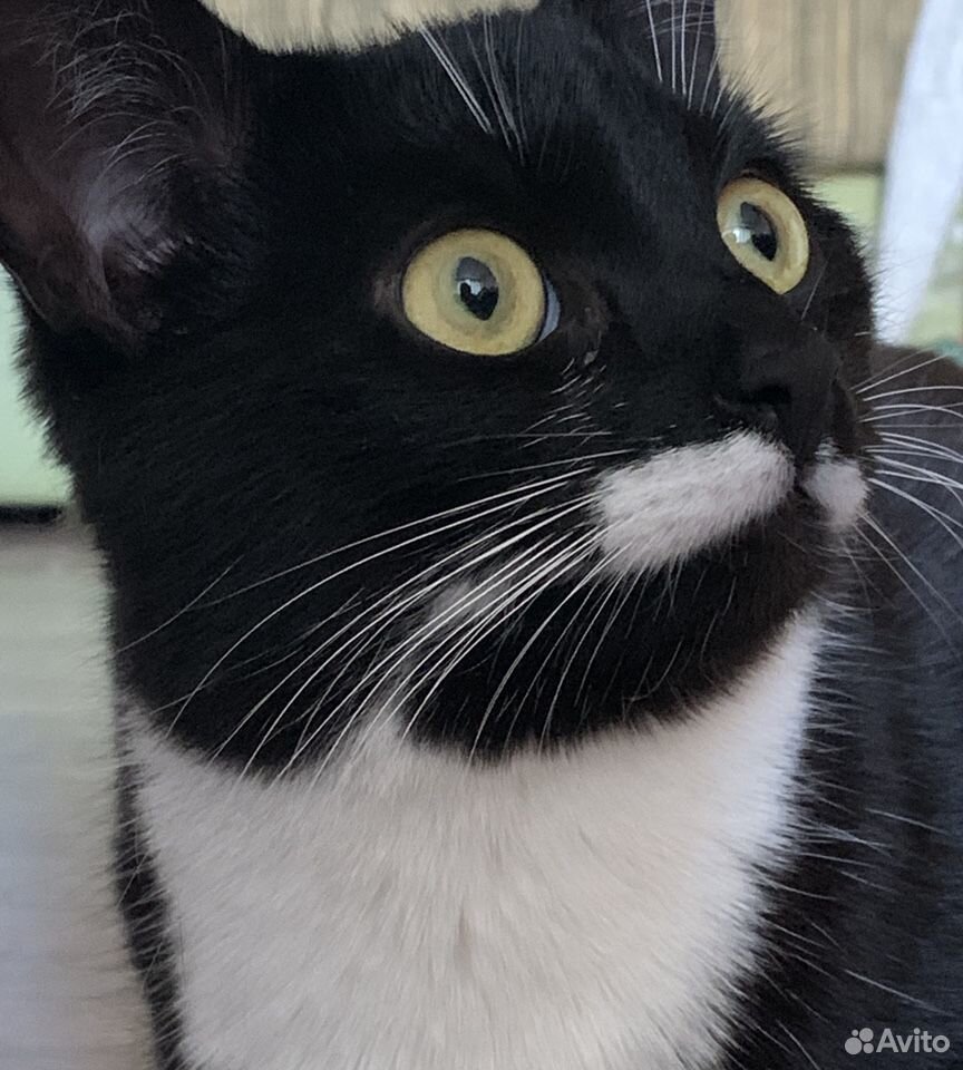 Императрица Елизавета