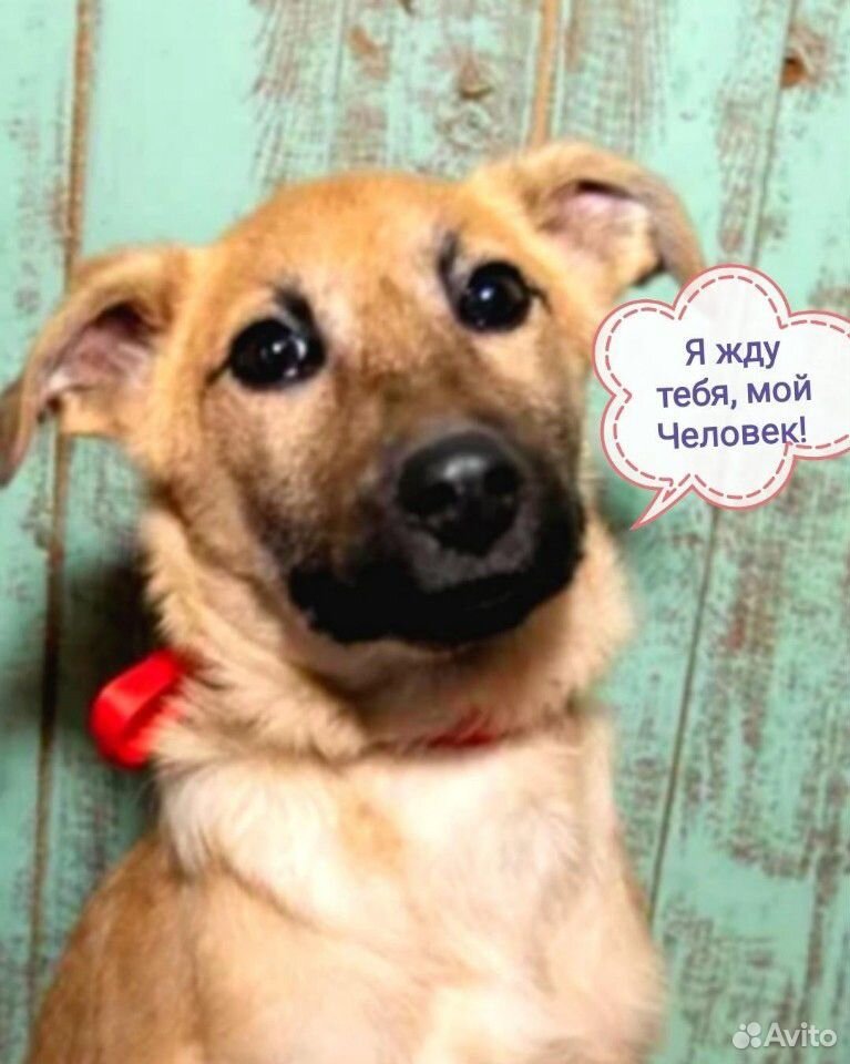 Куки 8 месяцев