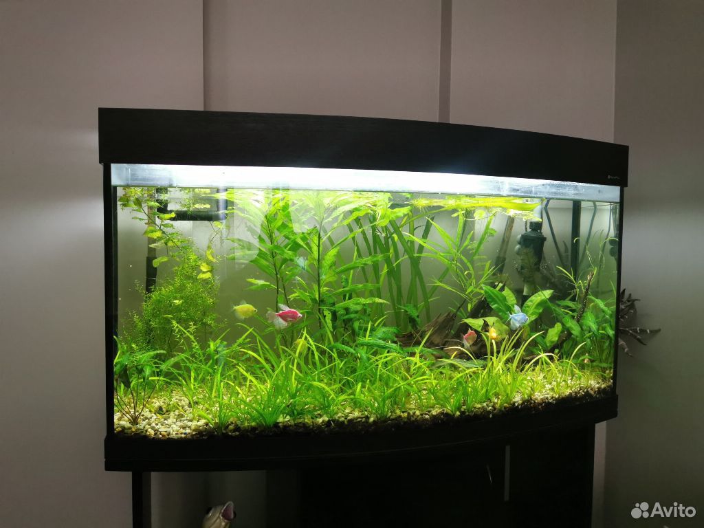 Аквариум AquaPlus, тумба, внешний фильтр, грунт, р