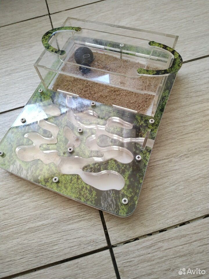 Отличная муравьиная ферма(фармикарий)