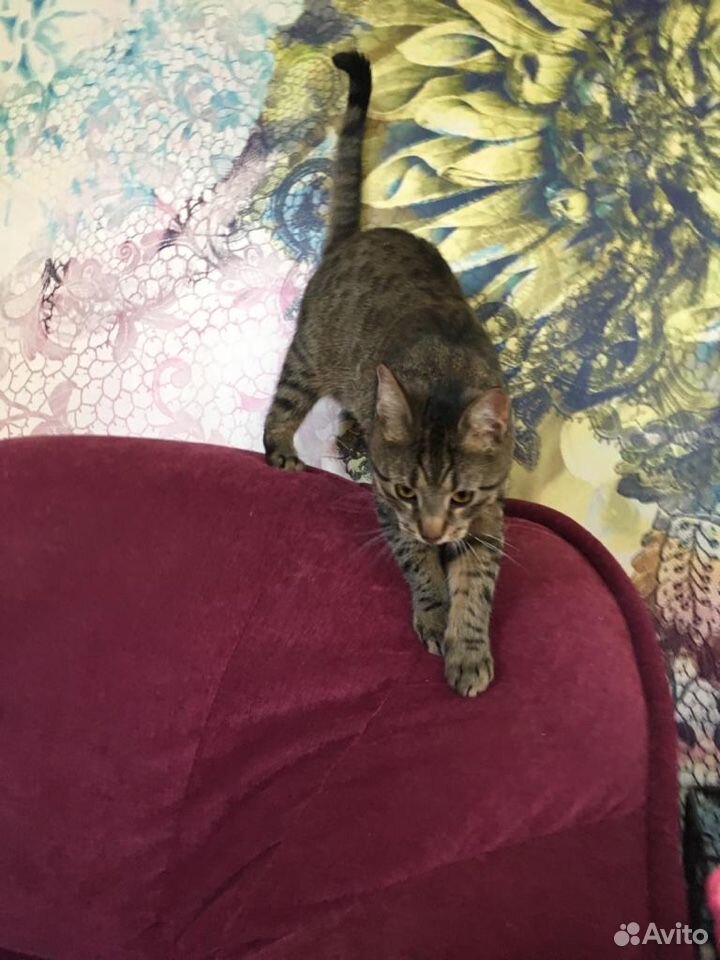 Европейская