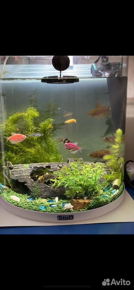 Аквариум Tetra AquaArt Explorer Line Tropical 30л