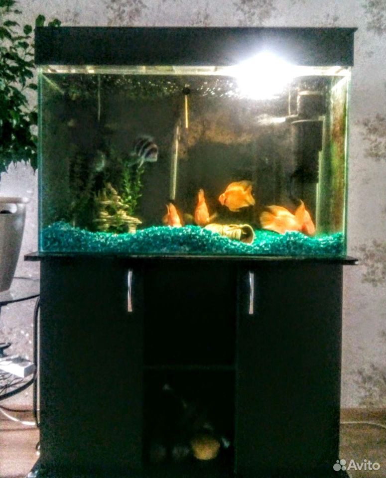 Аквариум