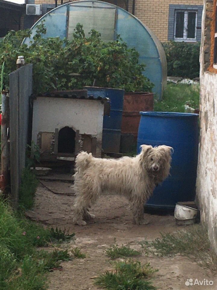 Кабель метис