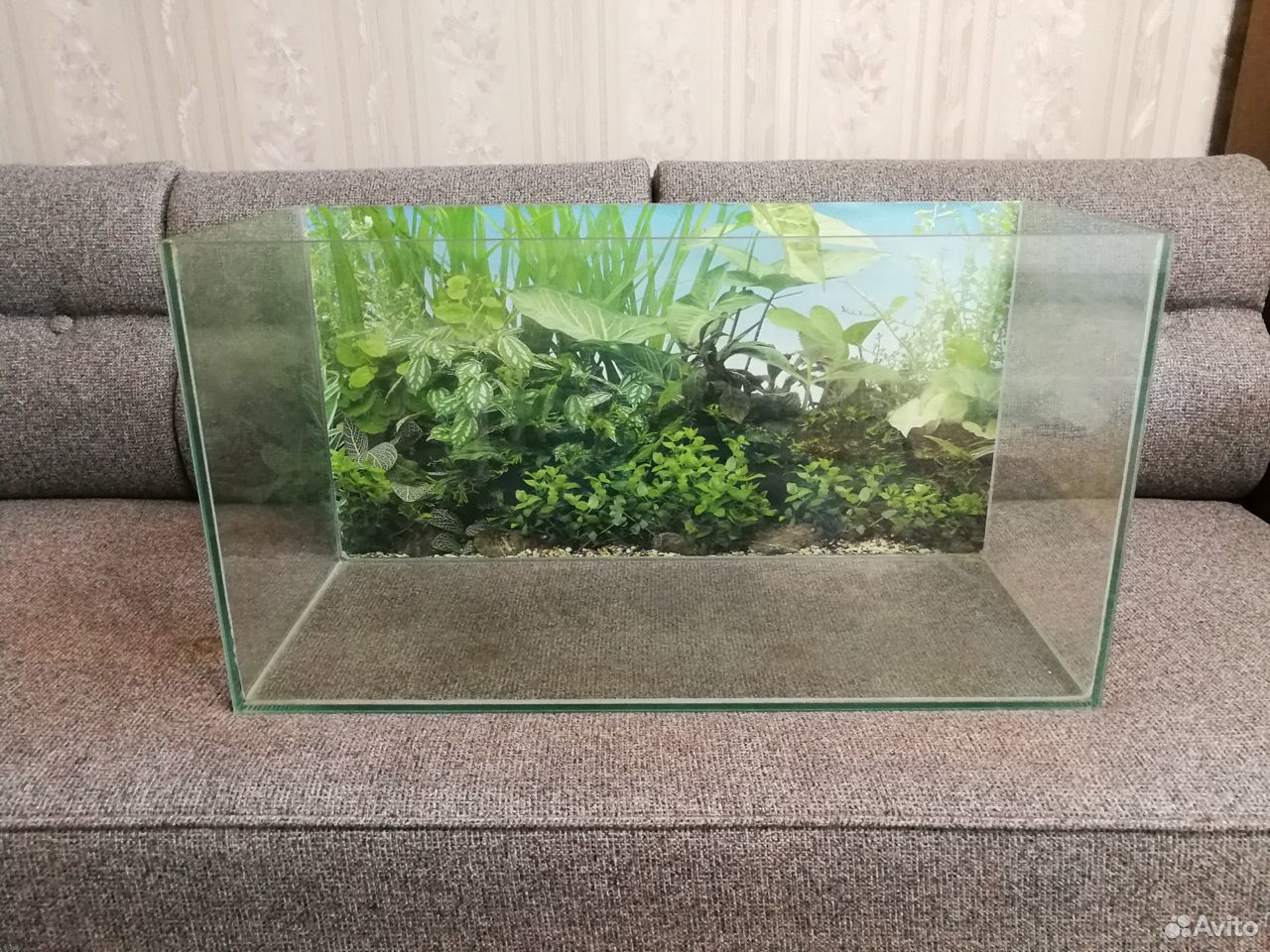 Аквариум 60л