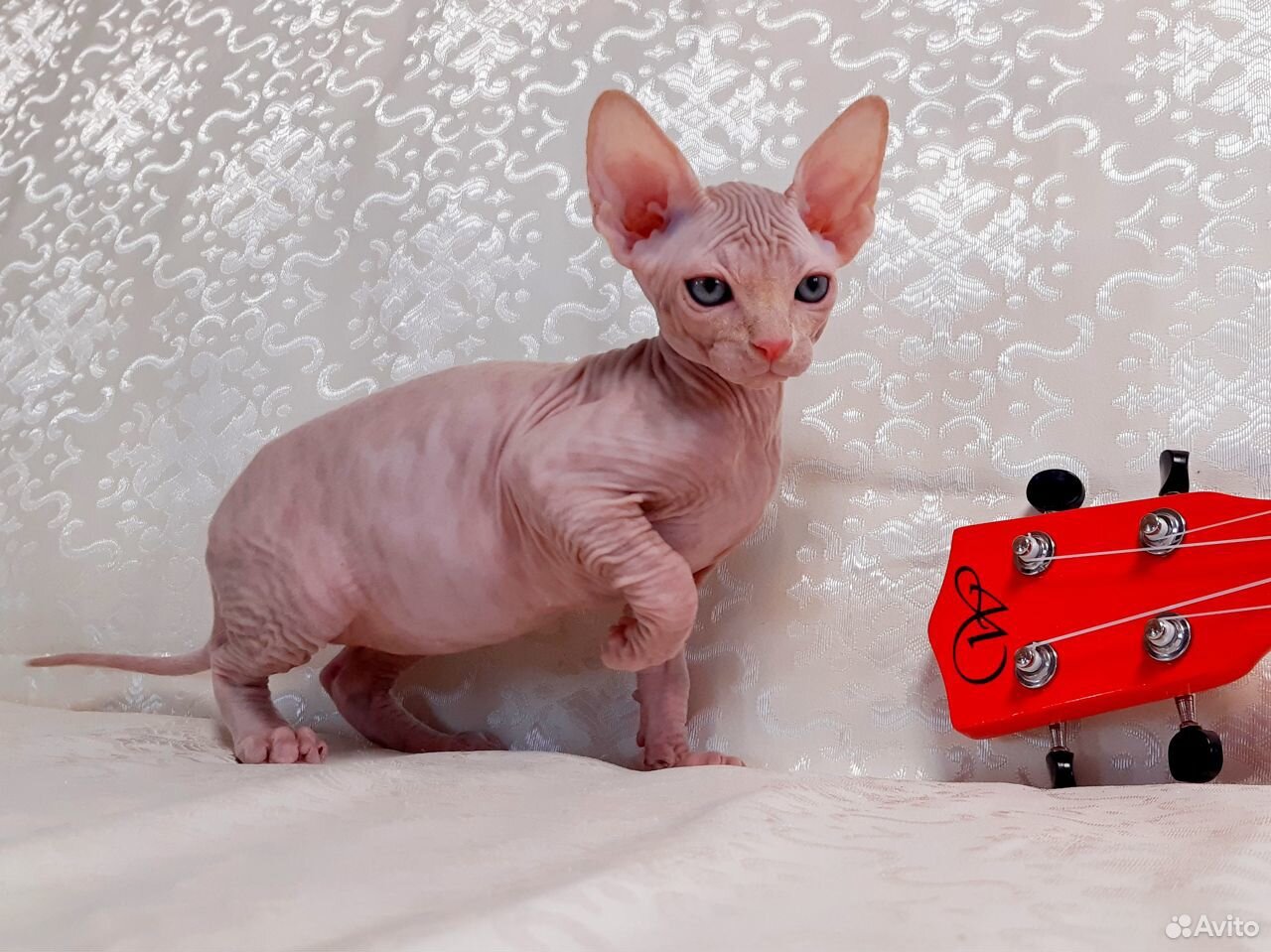 Братики "акробатики"