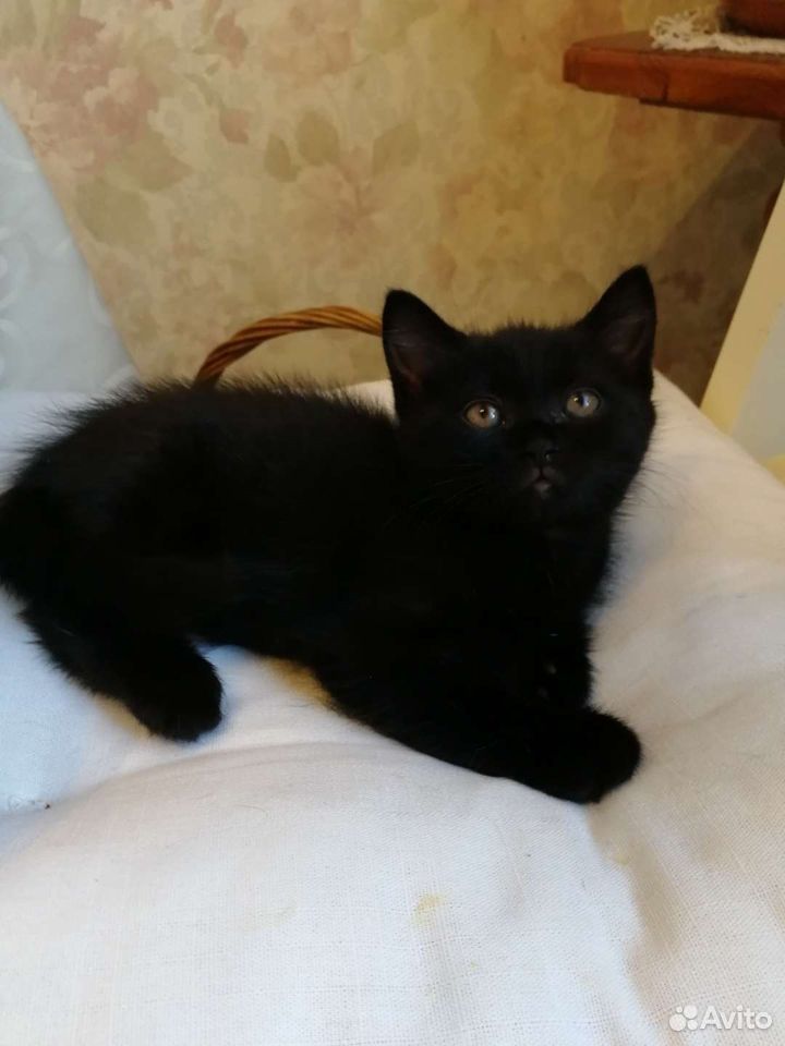 Британская