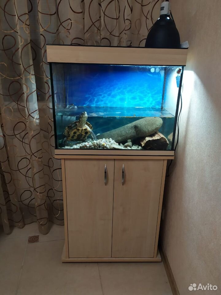 Продам аквариум ZelAqua 80л с тумбой