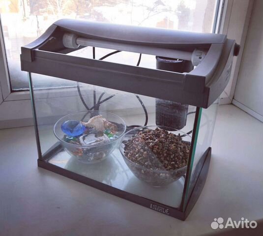 Аквариум tetra