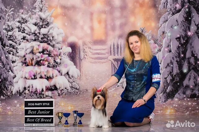 Бивер йорк вязка