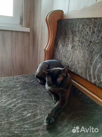 Бурман- производитель