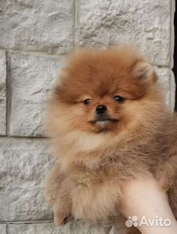 Девочка пом