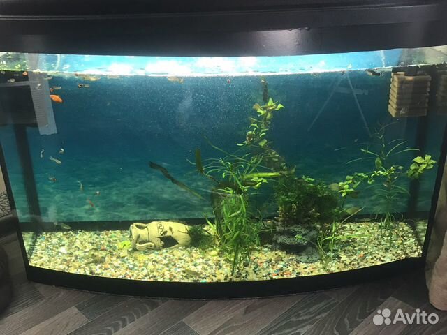 Аквариум