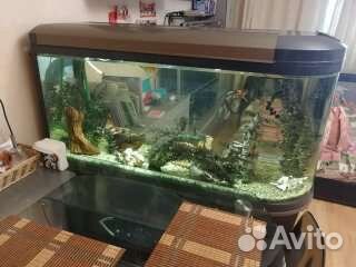 Украшение для аквариума