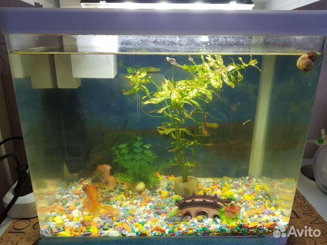 Аквариум aquael 25л