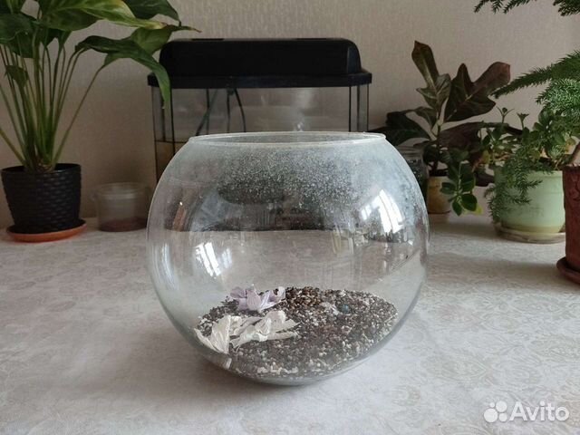 Аквариум круглый