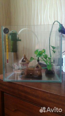 Аквариум