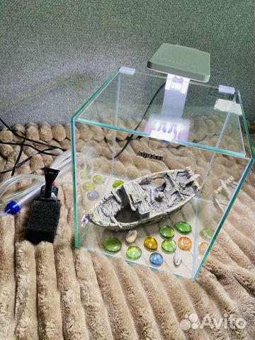 Аквариум
