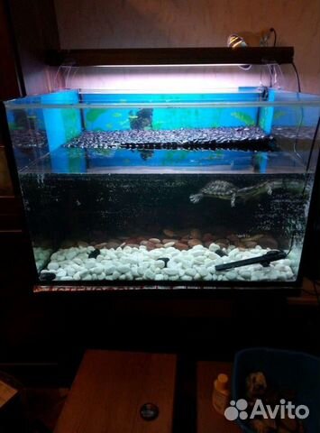 Аквариум-черепашник (без черепах) 260л
