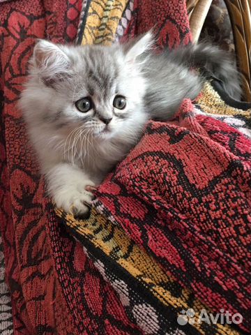 Куколка девочка