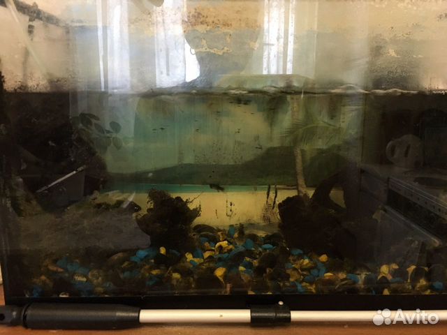 Аквариум
