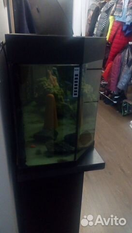 Аквариум 300 литров