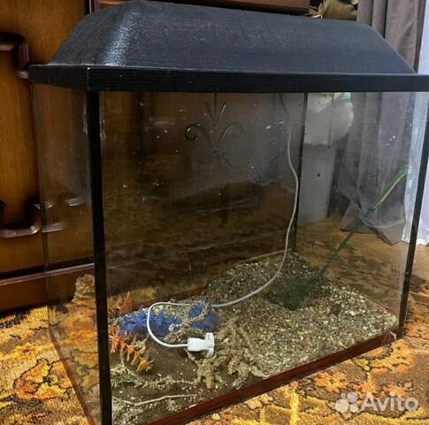 Аквариум