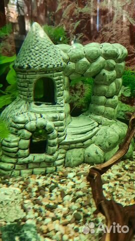 Аквариумный декор