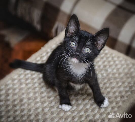 Мишка- такой маленький и такой большой друг