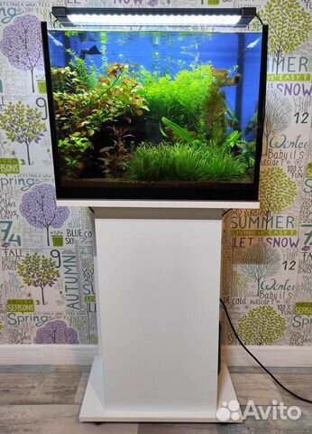 Аквариум с тумбой полный комплект