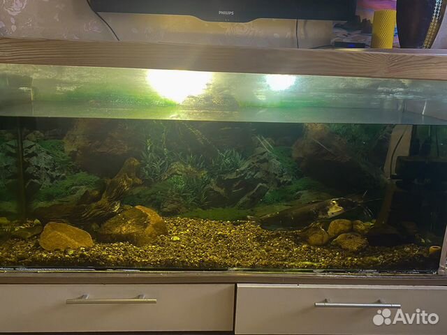 Отдам аквариум 350л
