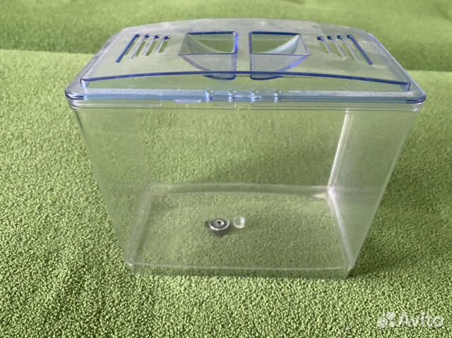 Террариум для улитки