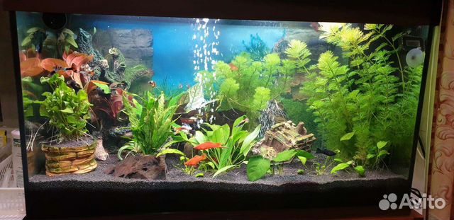 Украшение для аквариума