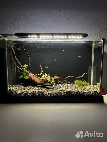 Аквариум Hagen Fluval spec (19 л)