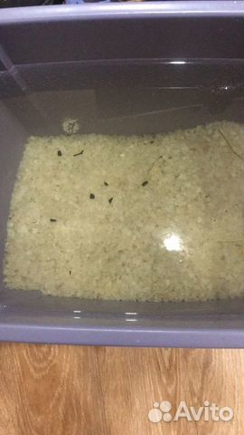 Грунт для аквариума мраморная крошка