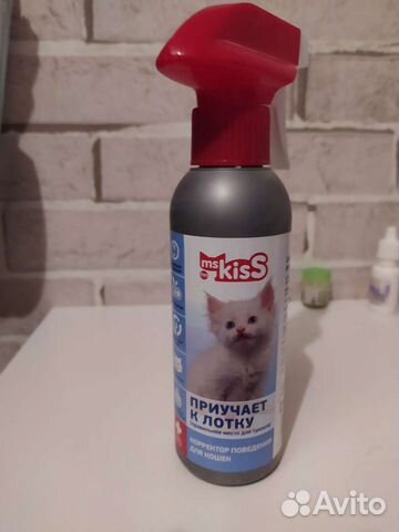 Приучает к лотку котят